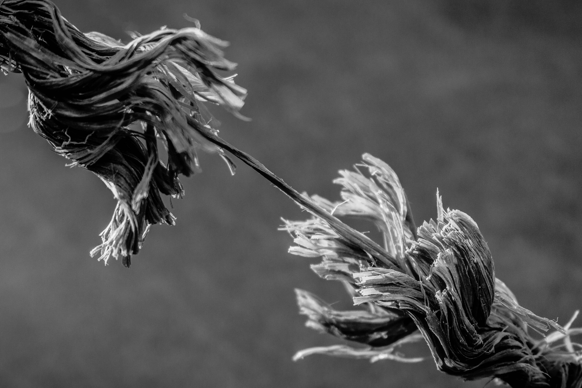 loslaten op zondagochtend | Netwerk Emotioneel Lichaamswerk